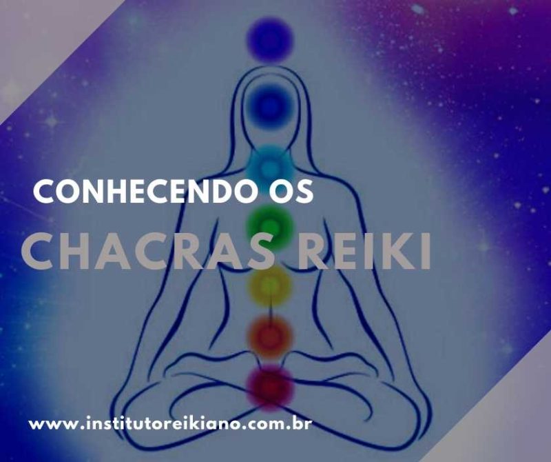 O que são Chacras: conheça nossos 7 chacras - Instituto Reikiano